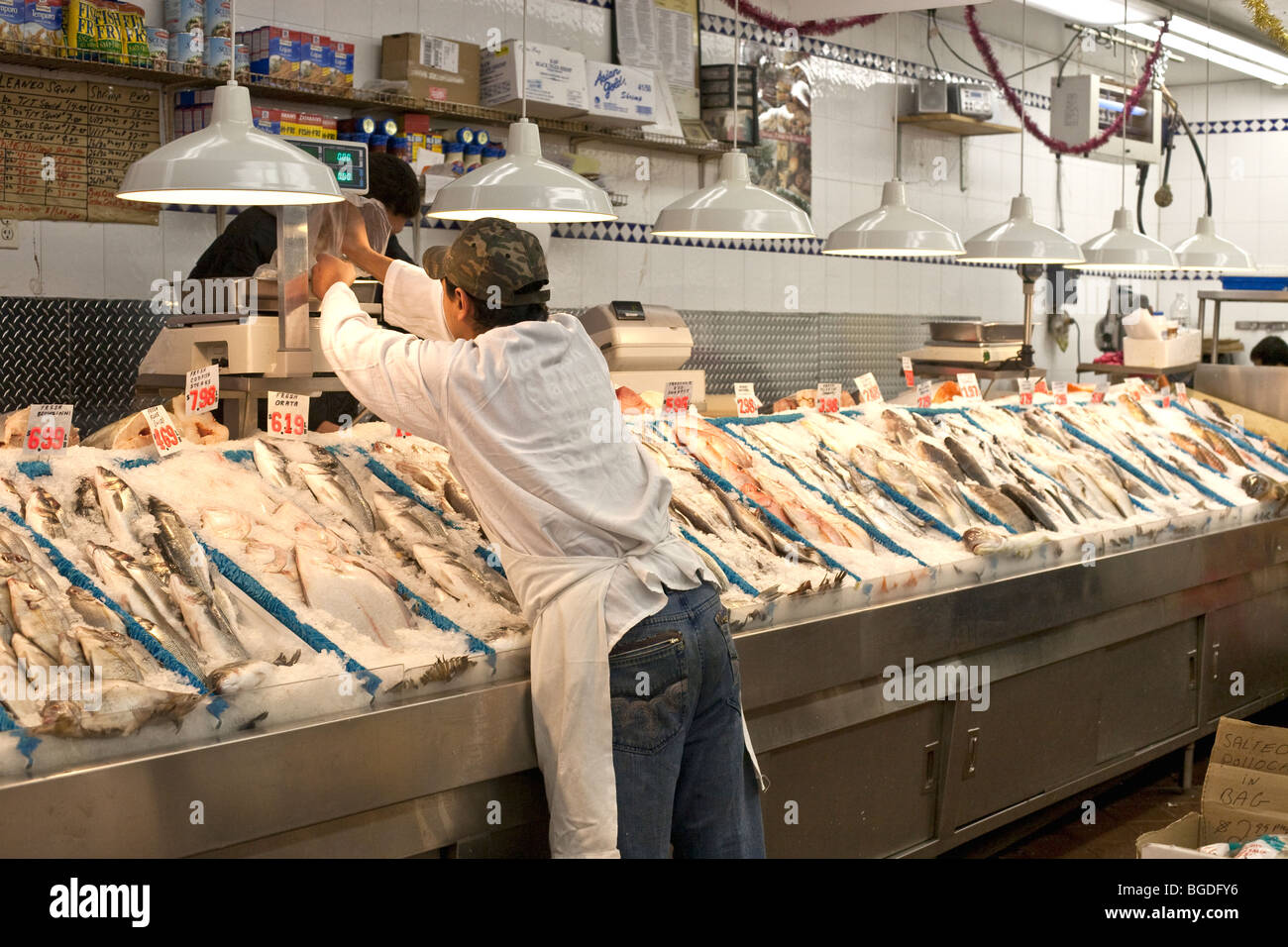 neighborhood neighbourhood fish market with a plentiful variety of ...