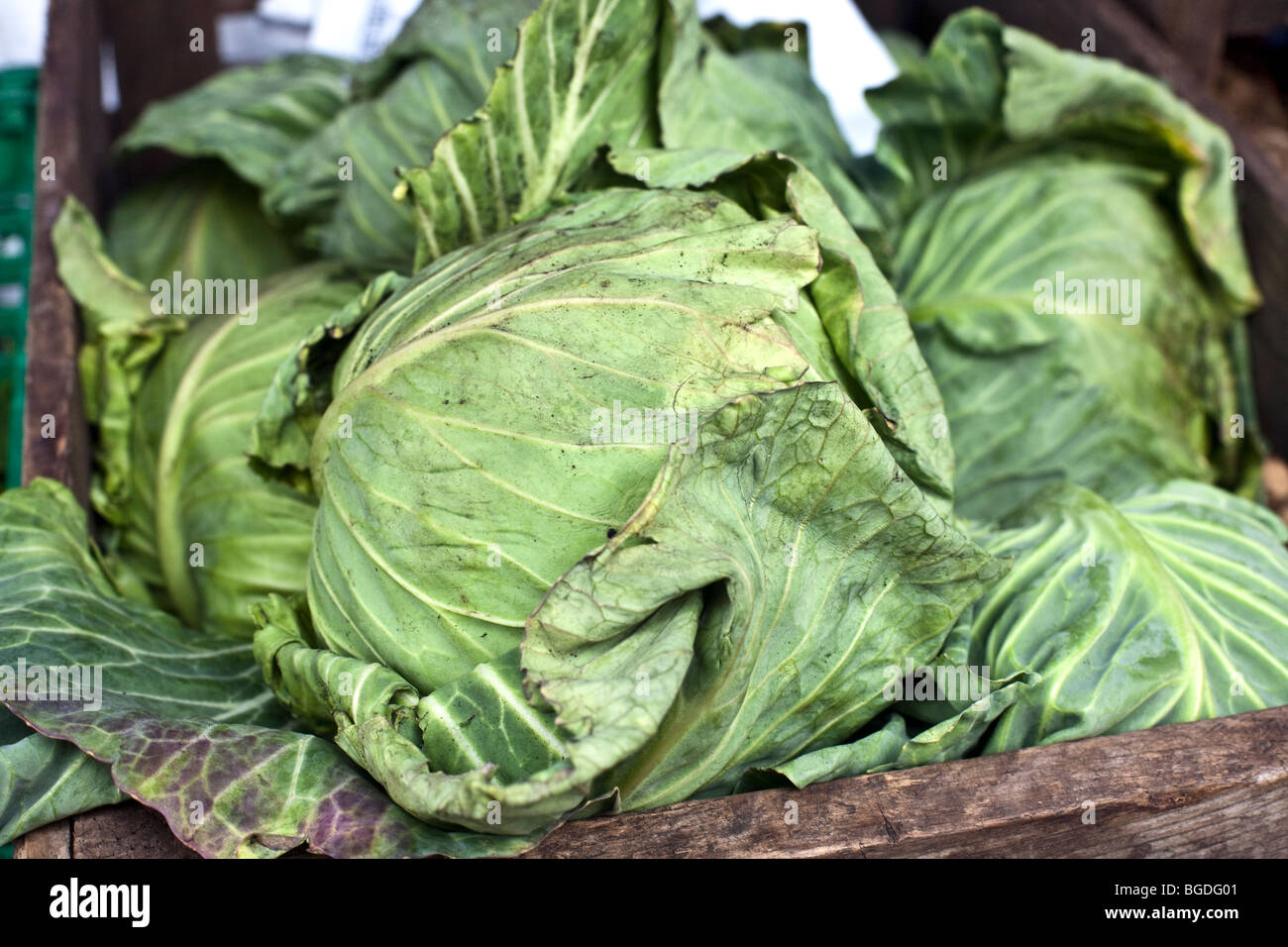 Cabbage market square hi-res stock photography and images - Alamy