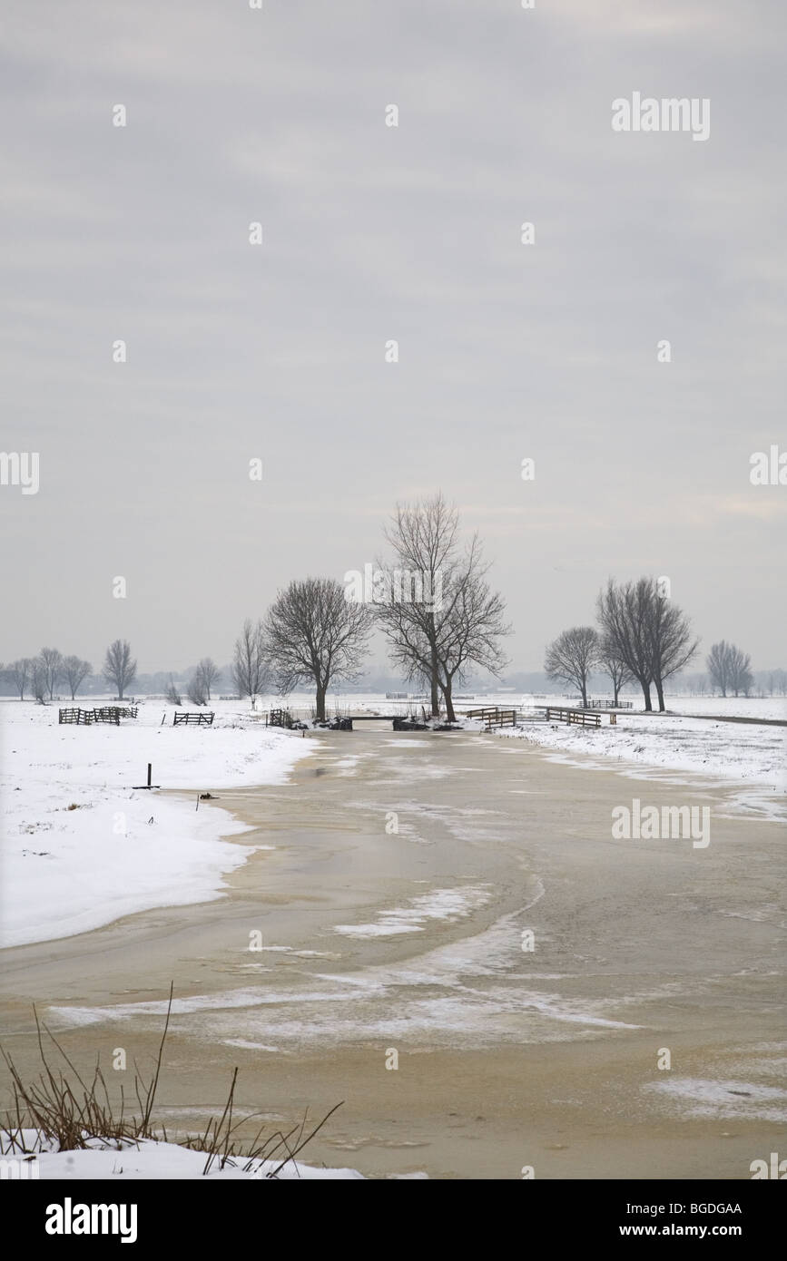 Landscape of a Dutch polder covered with snow, Alblasserwaard, South ...