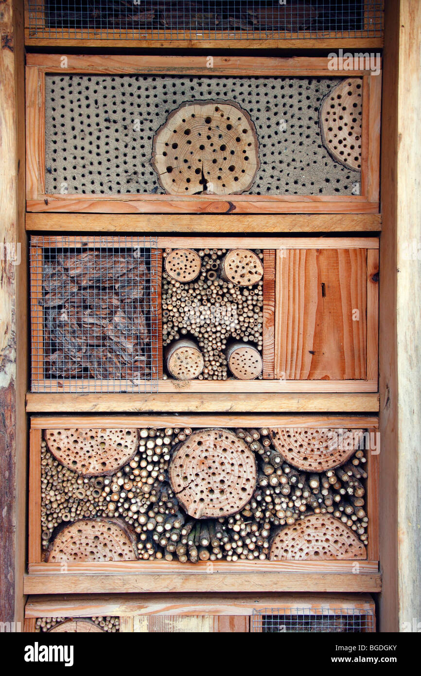 Artificial nest boxes for wild bees and other insects, wood, clay, and ...