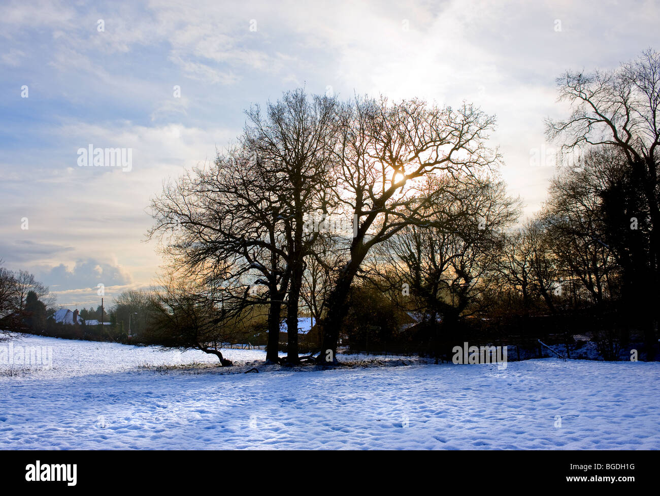 Snow in a field at Westley Heights in Essex Stock Photo - Alamy