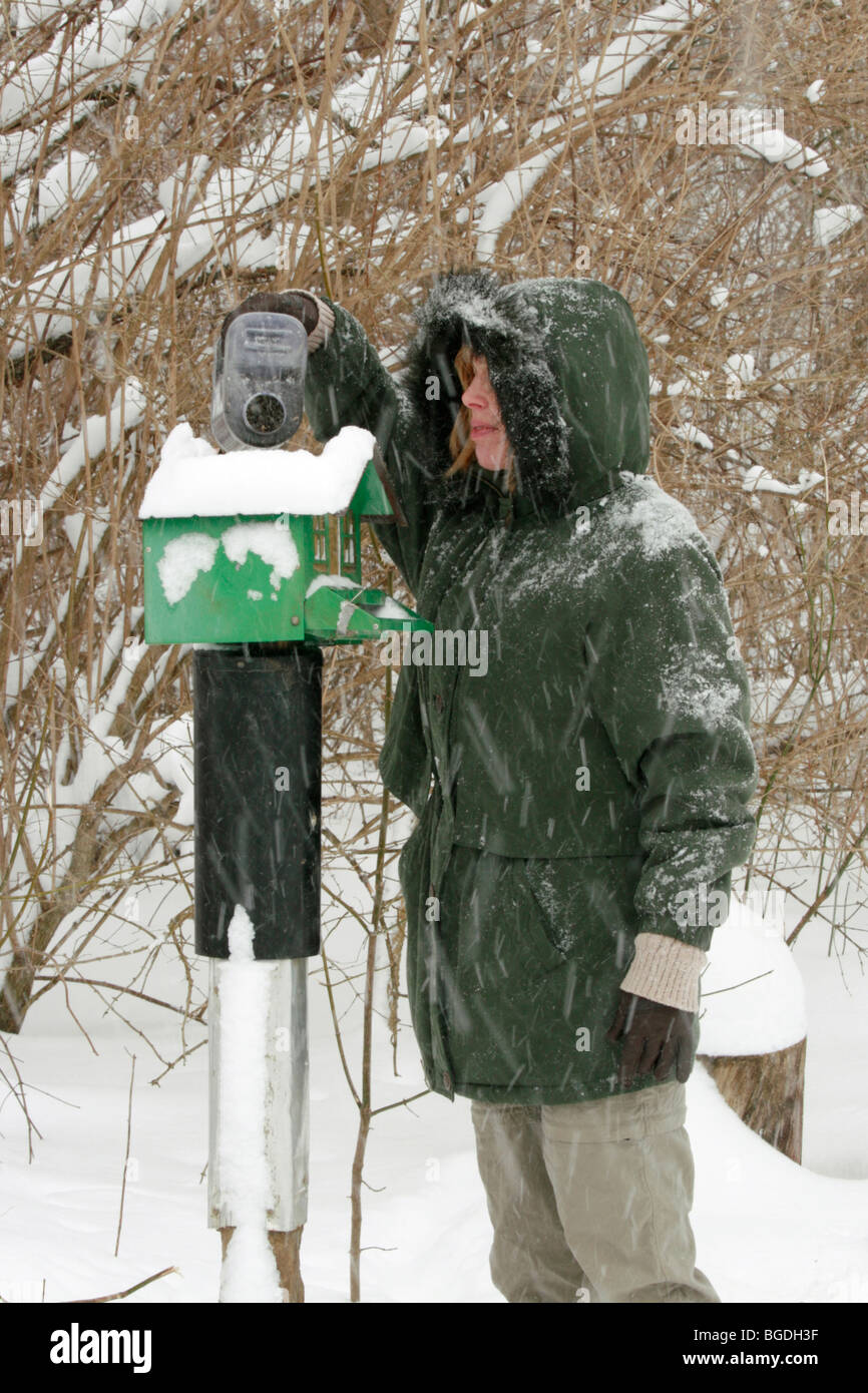 Filling seed feeder hi-res stock photography and images - Alamy
