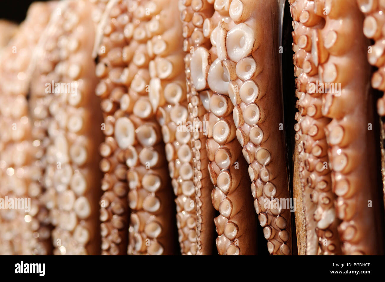 Strung up octopi at Paralia, Naxos port, Cyclades, Greece, Europe Stock ...