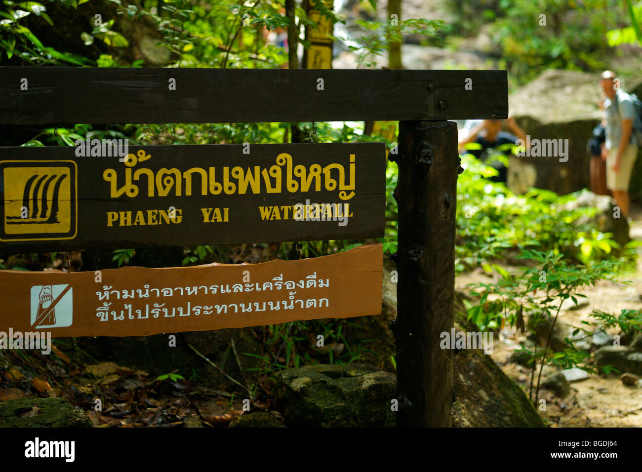 Phaeng Yai waterfall koh phangan thailand Stock Photo - Alamy