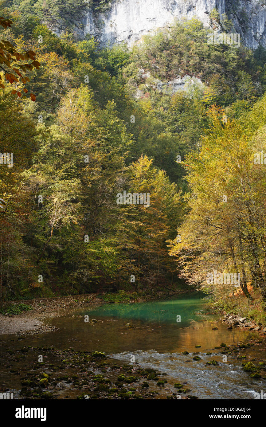 Kupa source, Kupa river, Risnjak National Park, Gorski Kotar region ...