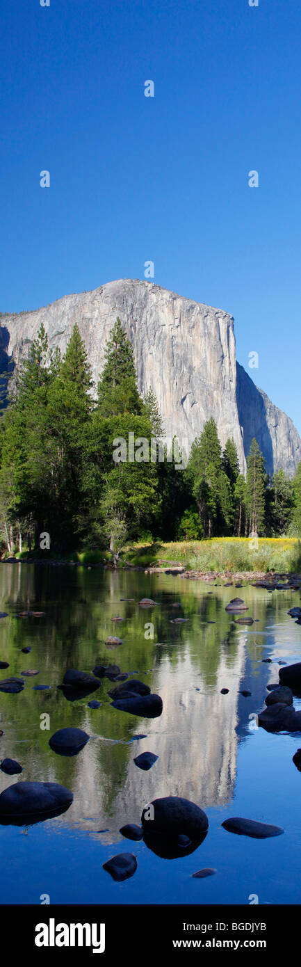 El Capitan and the Merced River in summer, Yosemite Valley, Yosemite ...
