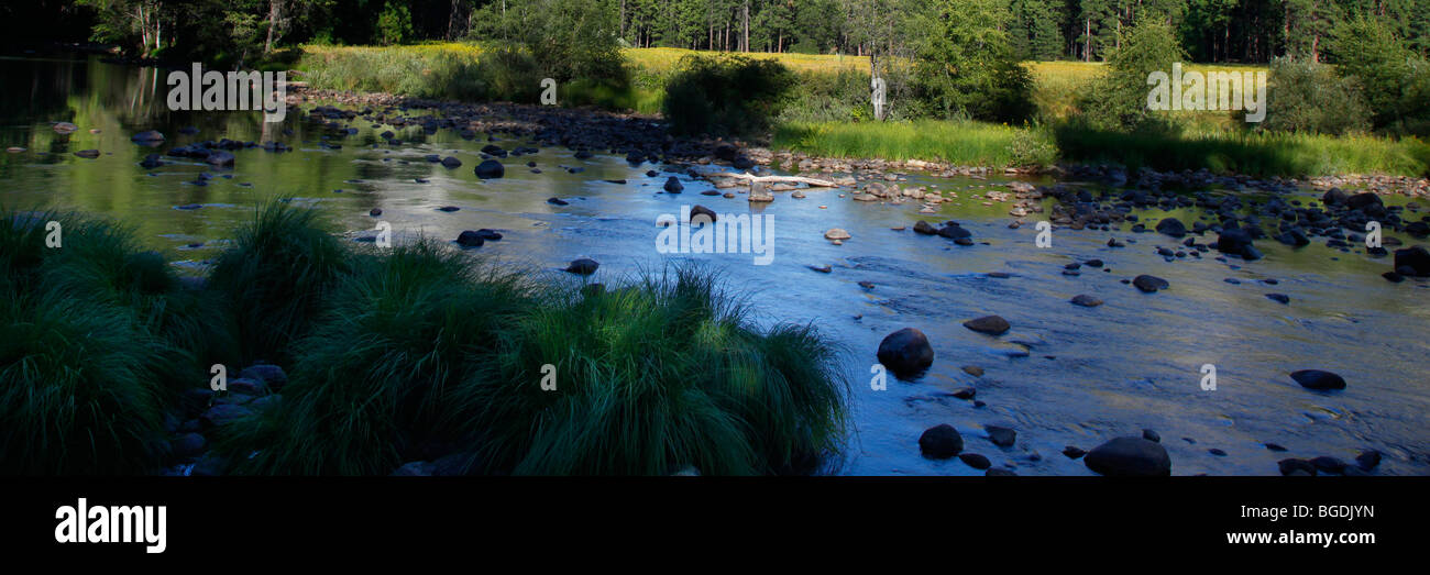 Merced River in summer, Yosemite Valley, Yosemite National Park ...