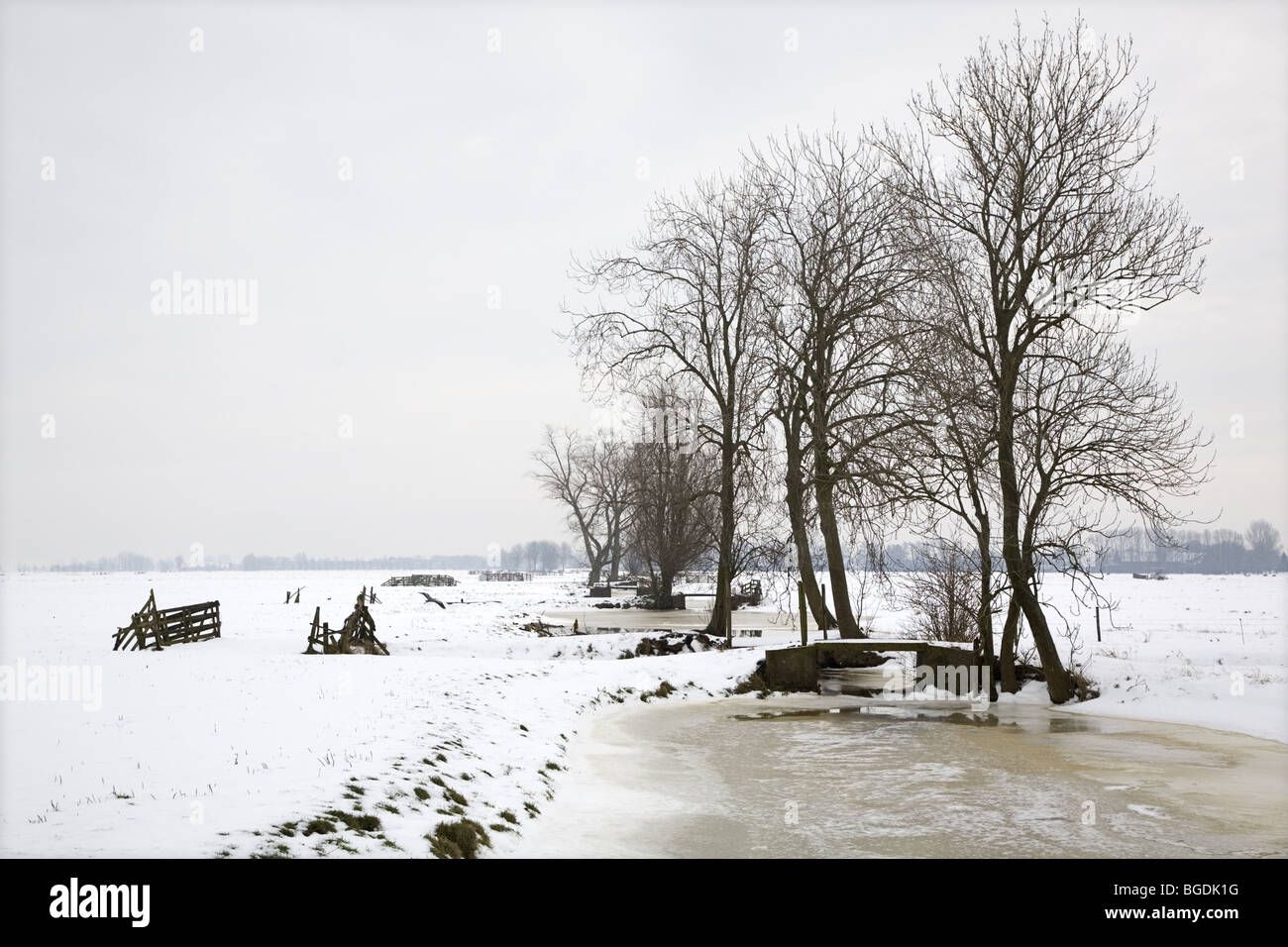 Landscape of a Dutch polder covered with snow, Alblasserwaard, South ...