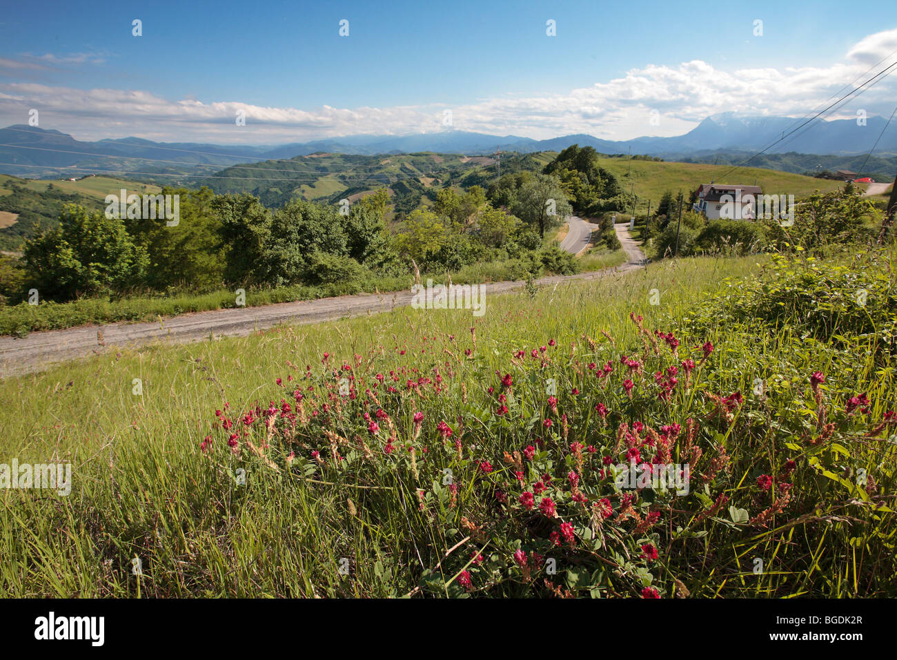 Marche hills hi-res stock photography and images - Alamy