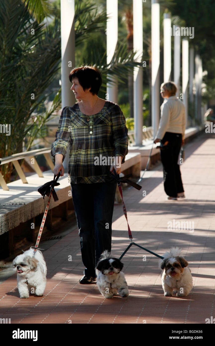 Woman walking three small dogs on the beach promenade of Larvotto ...