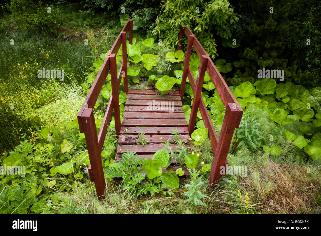 Land footbridge hi-res stock photography and images - Alamy