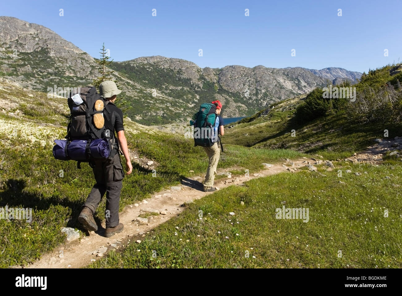 Group of young hikers hiking, backpacking, backpack, historic Chilkoot ...