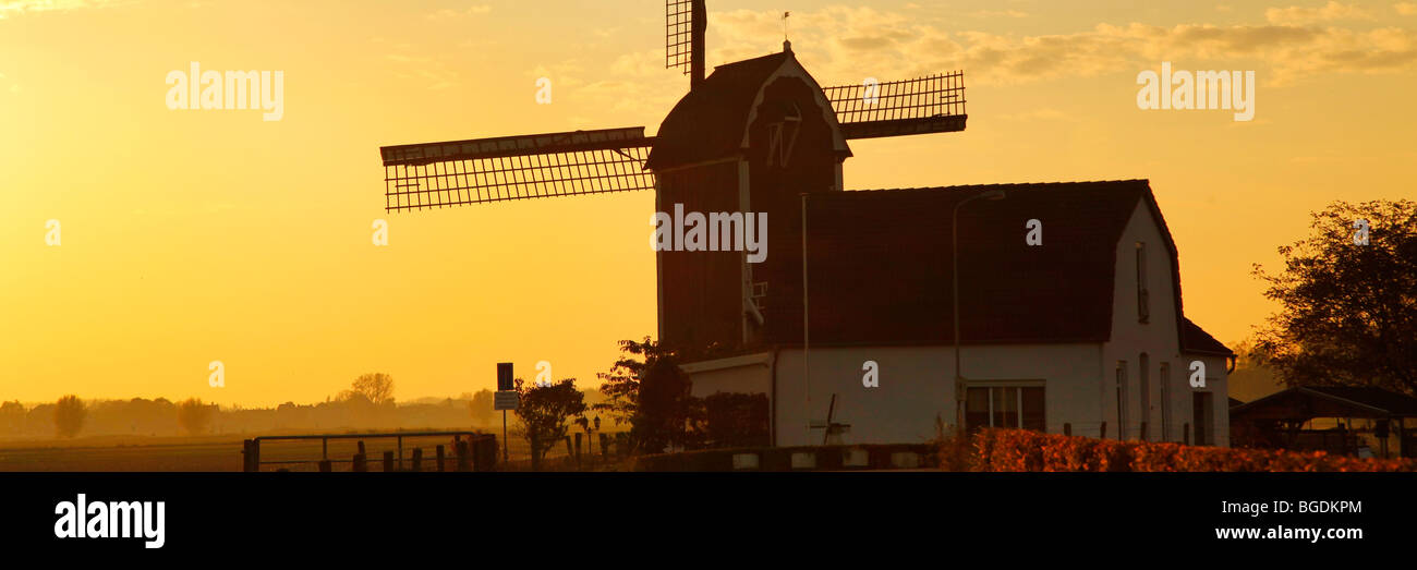 Traditional windmill on river levy along Maas River, The Netherlands ...