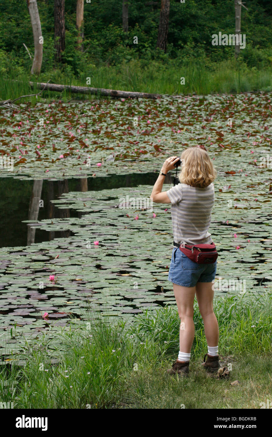 Female Birdwatcher at Wetlands Stock Photo - Alamy