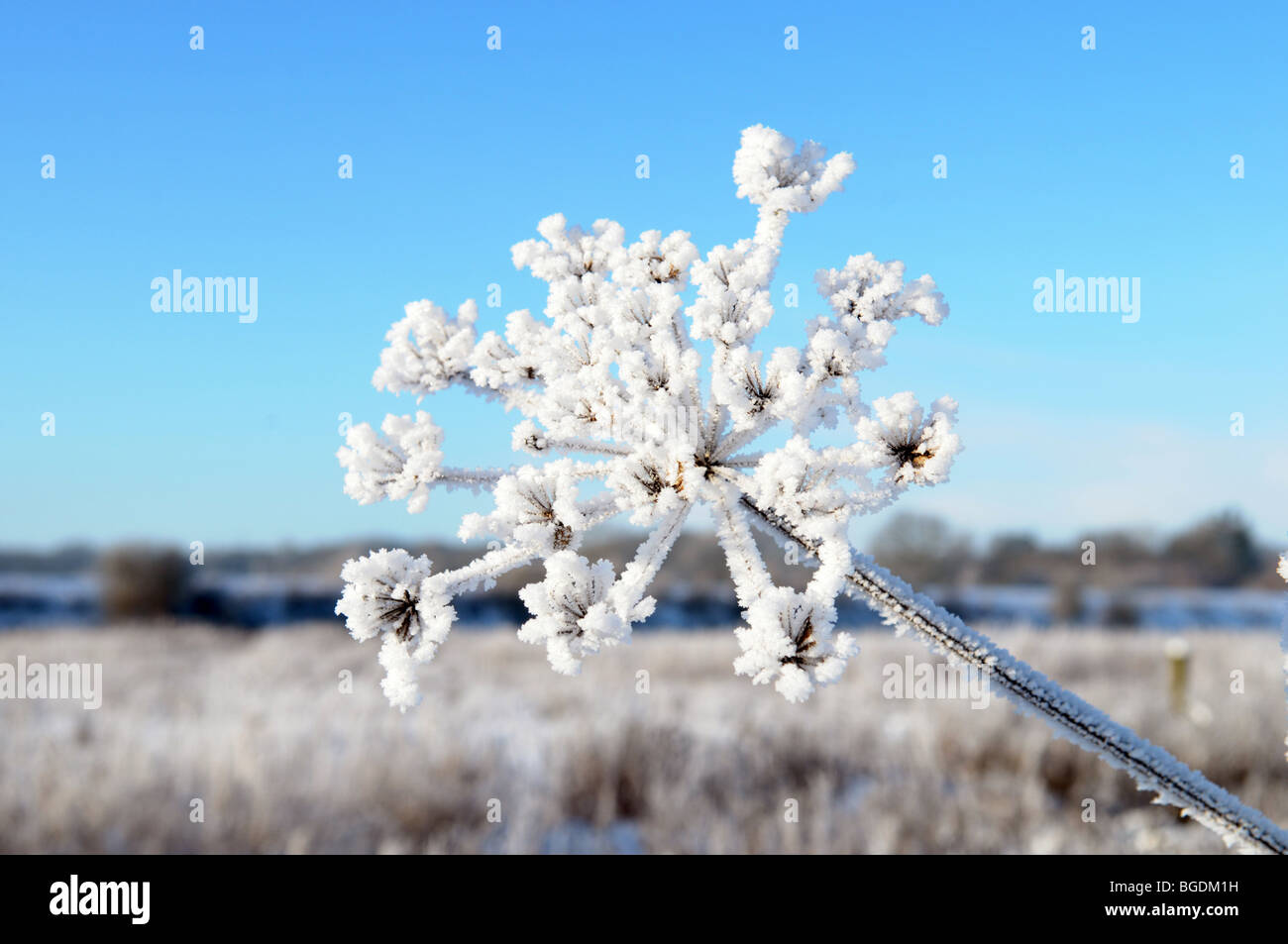 Perth snow hi-res stock photography and images - Alamy