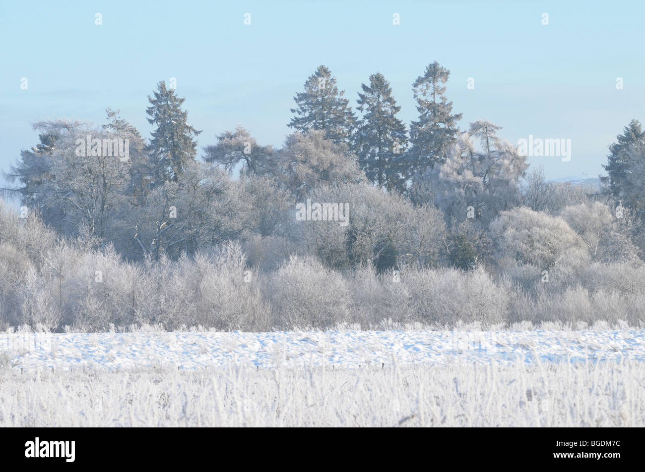 A snowy landscape in winter Stock Photo - Alamy