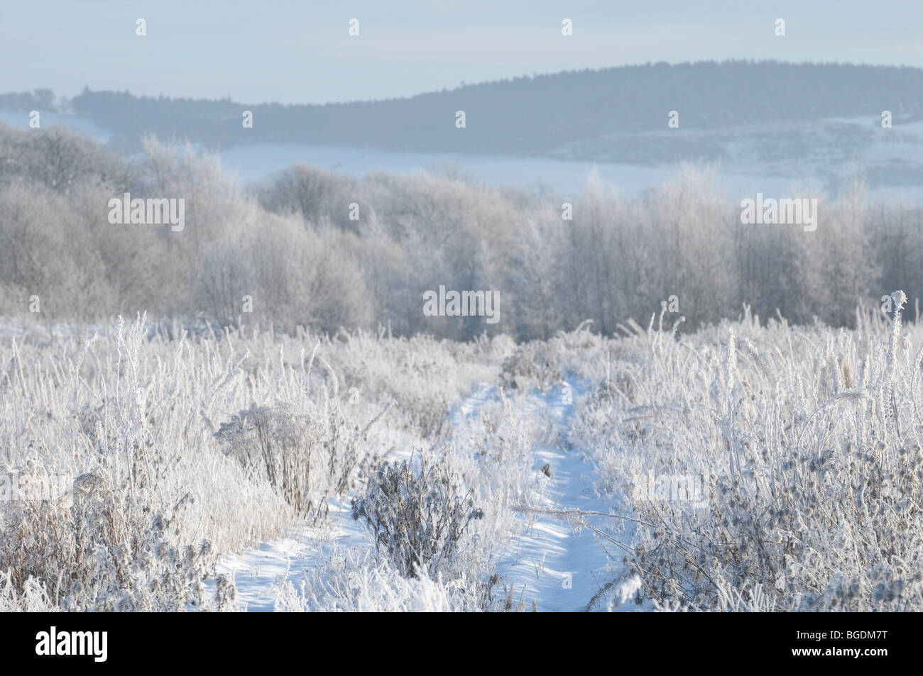 A snowy landscape in winter Stock Photo - Alamy