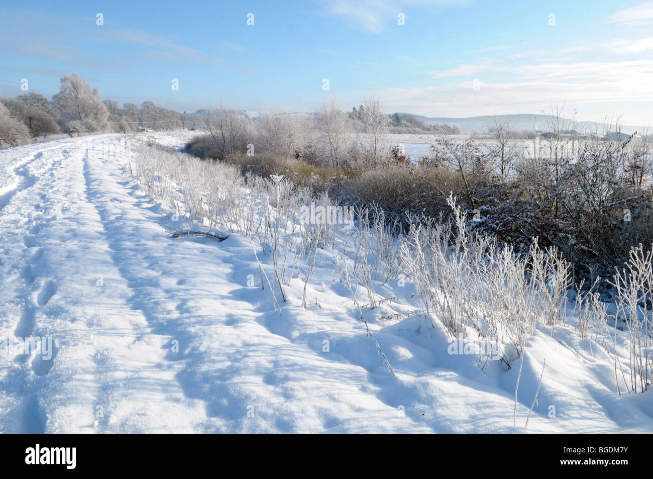 A snowy landscape in winter Stock Photo - Alamy