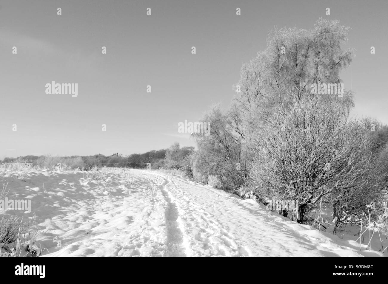 A snowy landscape in winter Stock Photo - Alamy