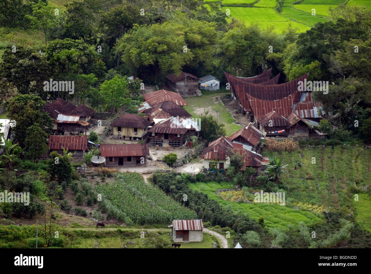 The characteristic sweeping prow-shaped roofs of Batak houses Stock ...