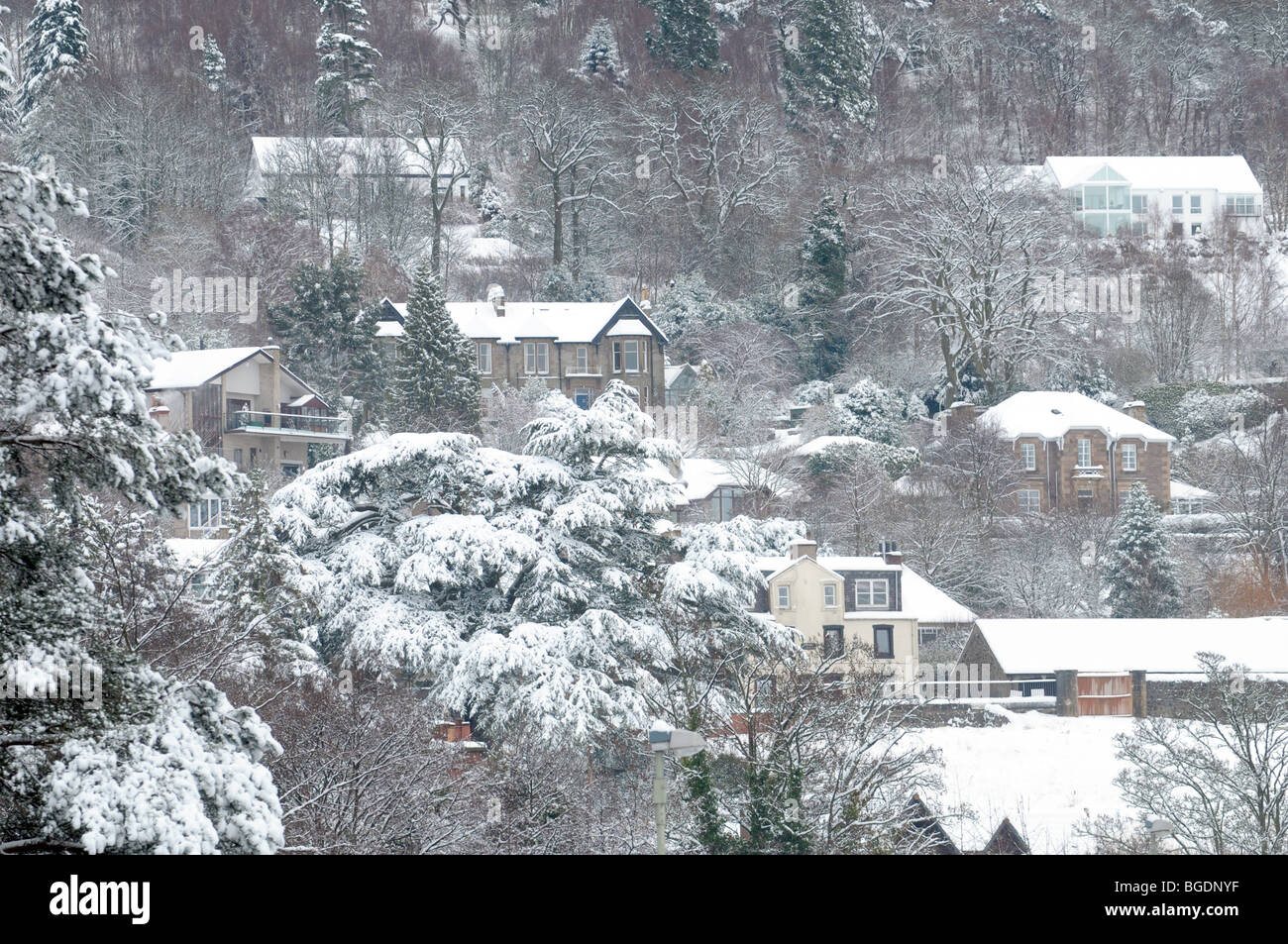 A snowy landscape in winter Stock Photo - Alamy