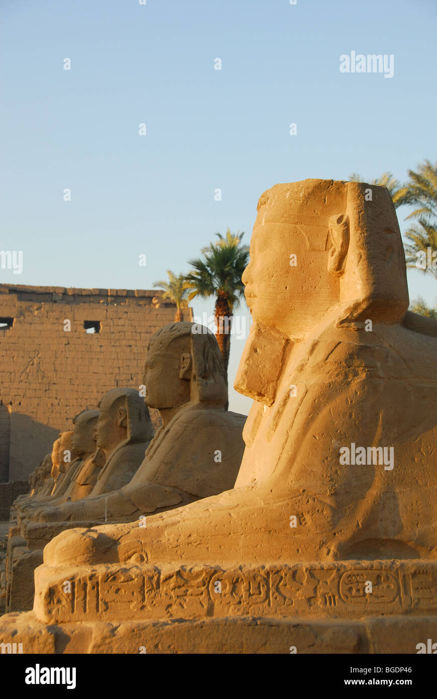 Side view of sphinx hi-res stock photography and images - Alamy