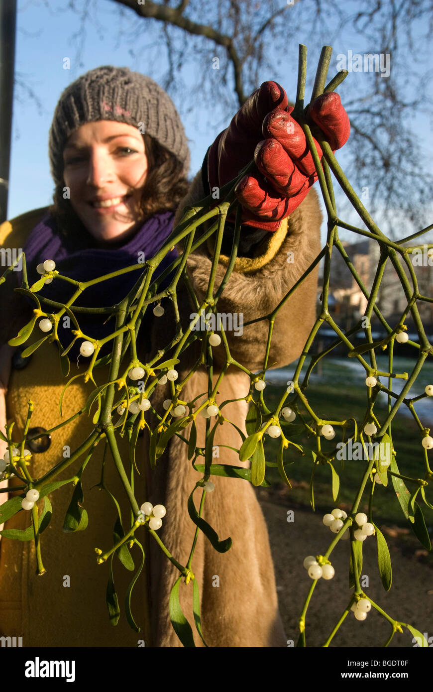 Kiss under the mistletoe hi-res stock photography and images - Alamy