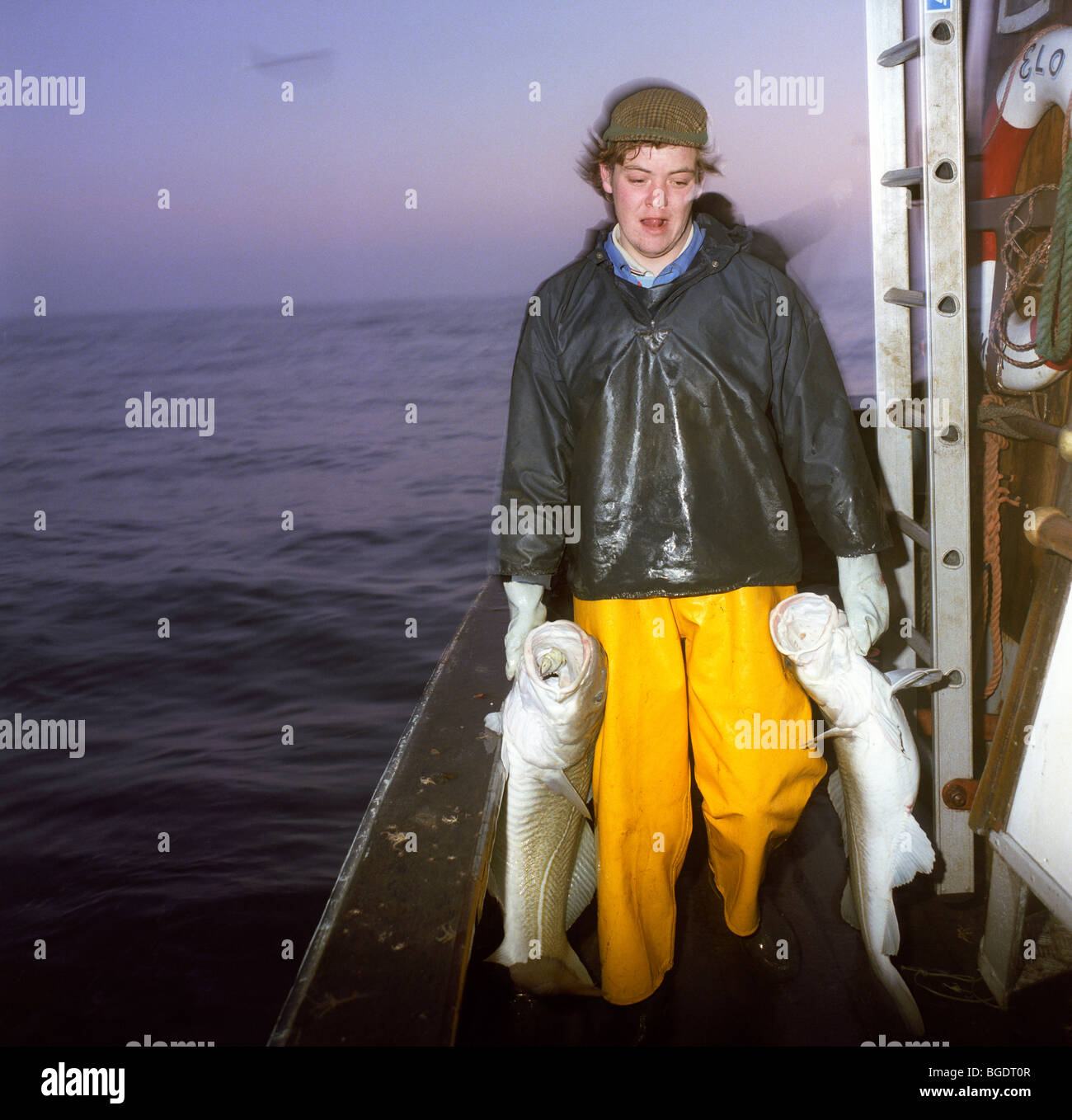 North Sea cod fisherman / trawlerman carrying two cod on a Seine netter ...