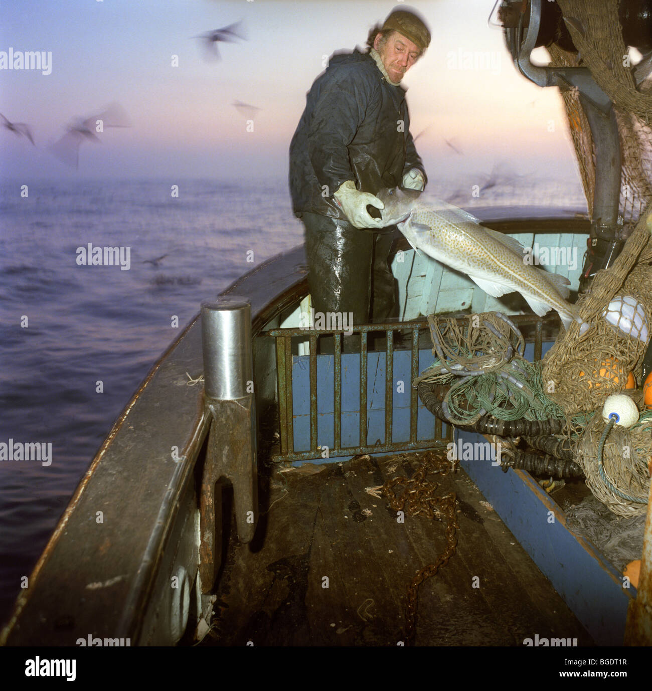 Fish net trawler catch hi-res stock photography and images - Alamy