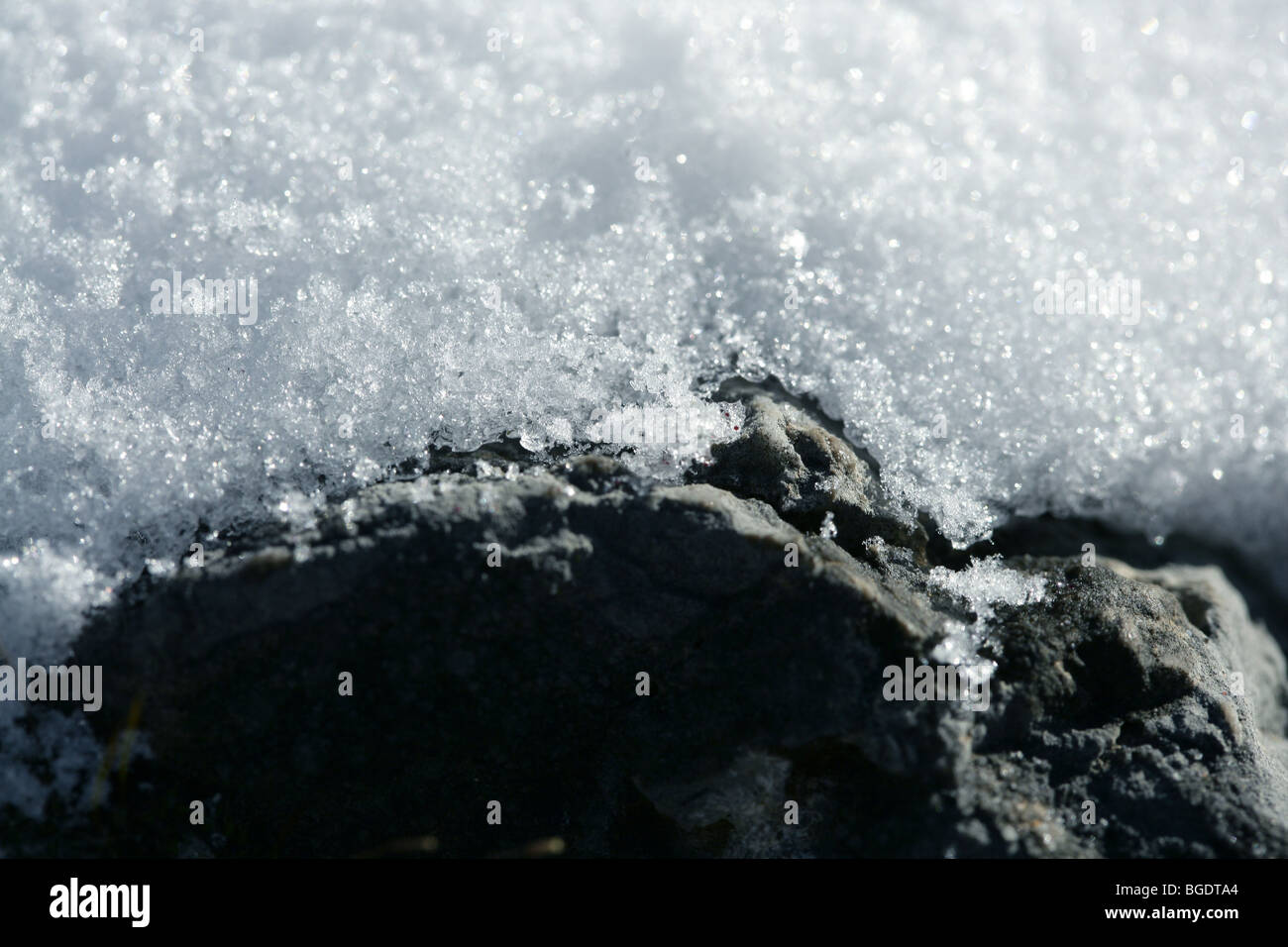 Snow macro detail. Iced textured white background Stock Photo - Alamy