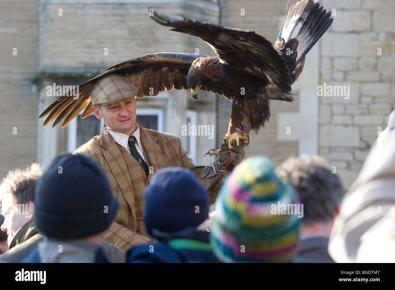 A Golden Eagle with it's handler at The Fitzwilliam Hunt Meeting at The ...