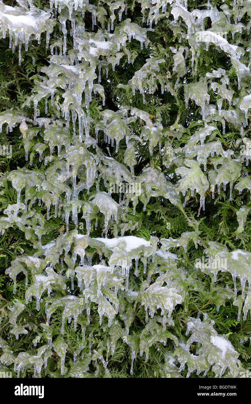 Rain with ice hi-res stock photography and images - Alamy