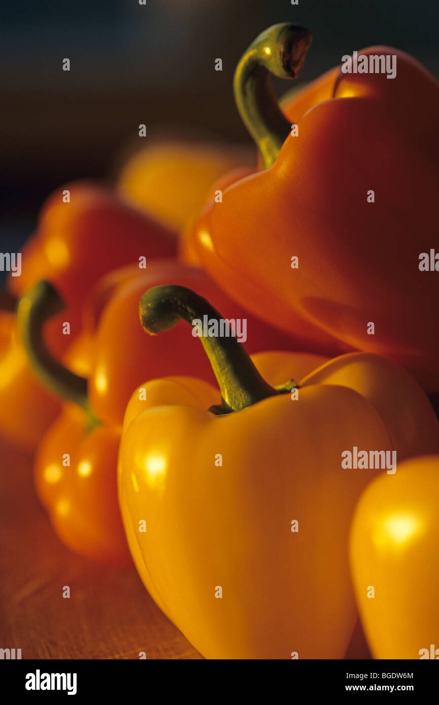 Close-up of colorful rows of peppers still life stacked Stock Photo - Alamy