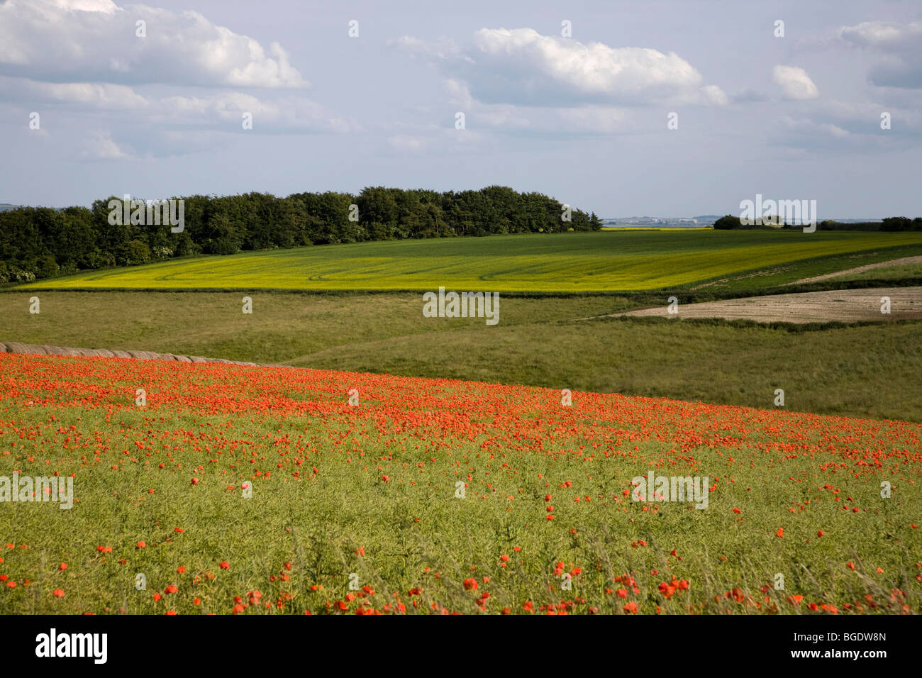 Salisbury plain hi-res stock photography and images - Alamy