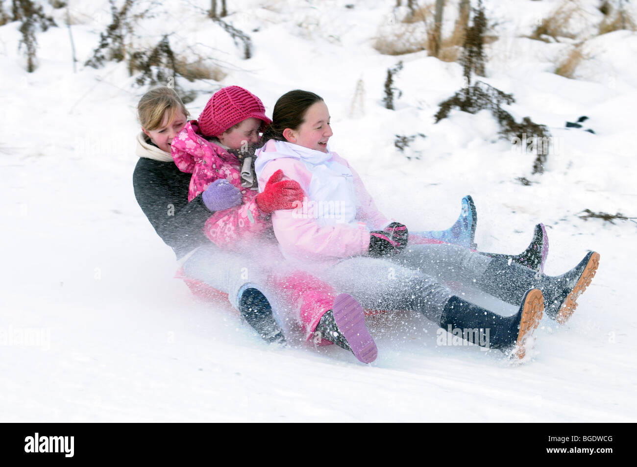 Children sledging and playing in the snow in Scotland Stock Photo - Alamy
