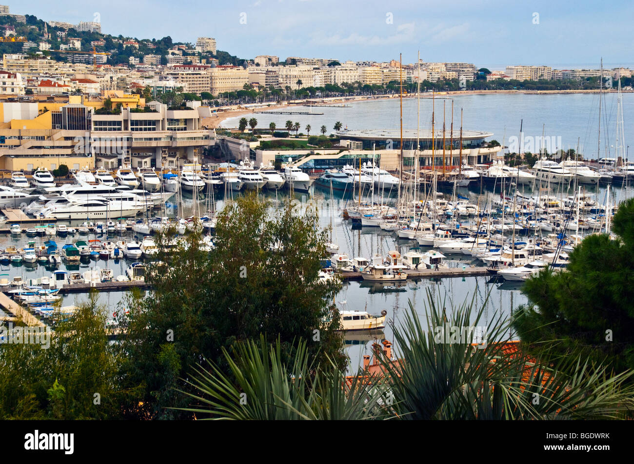 France: Cannes harbour viewed from Le Suquet Stock Photo - Alamy