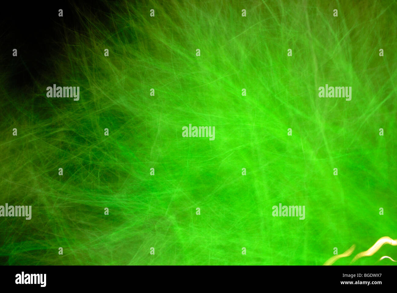 Rave tree hi-res stock photography and images - Alamy