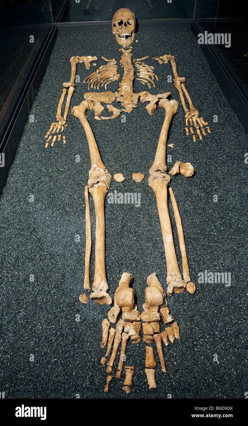 Male human skeleton hi-res stock photography and images - Alamy