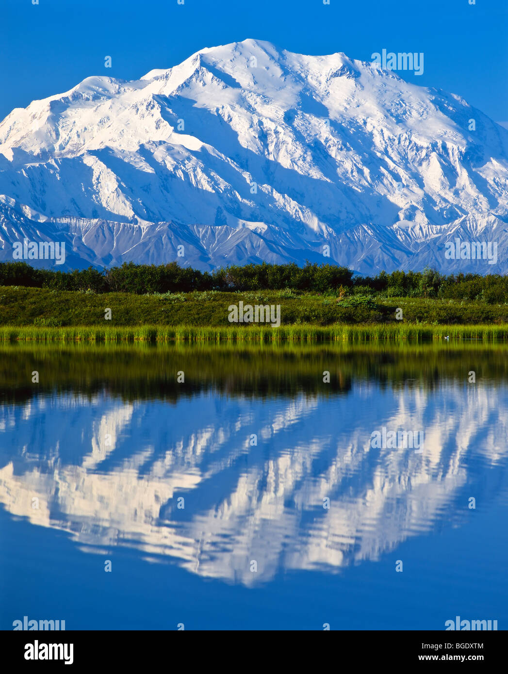 Mount McKinley, Denali Mountain in Denali National Park and Mirror Lake ...