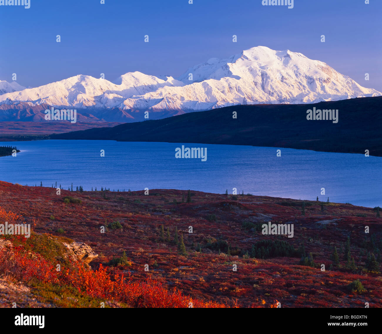 Denali mount peak covered hi-res stock photography and images - Alamy