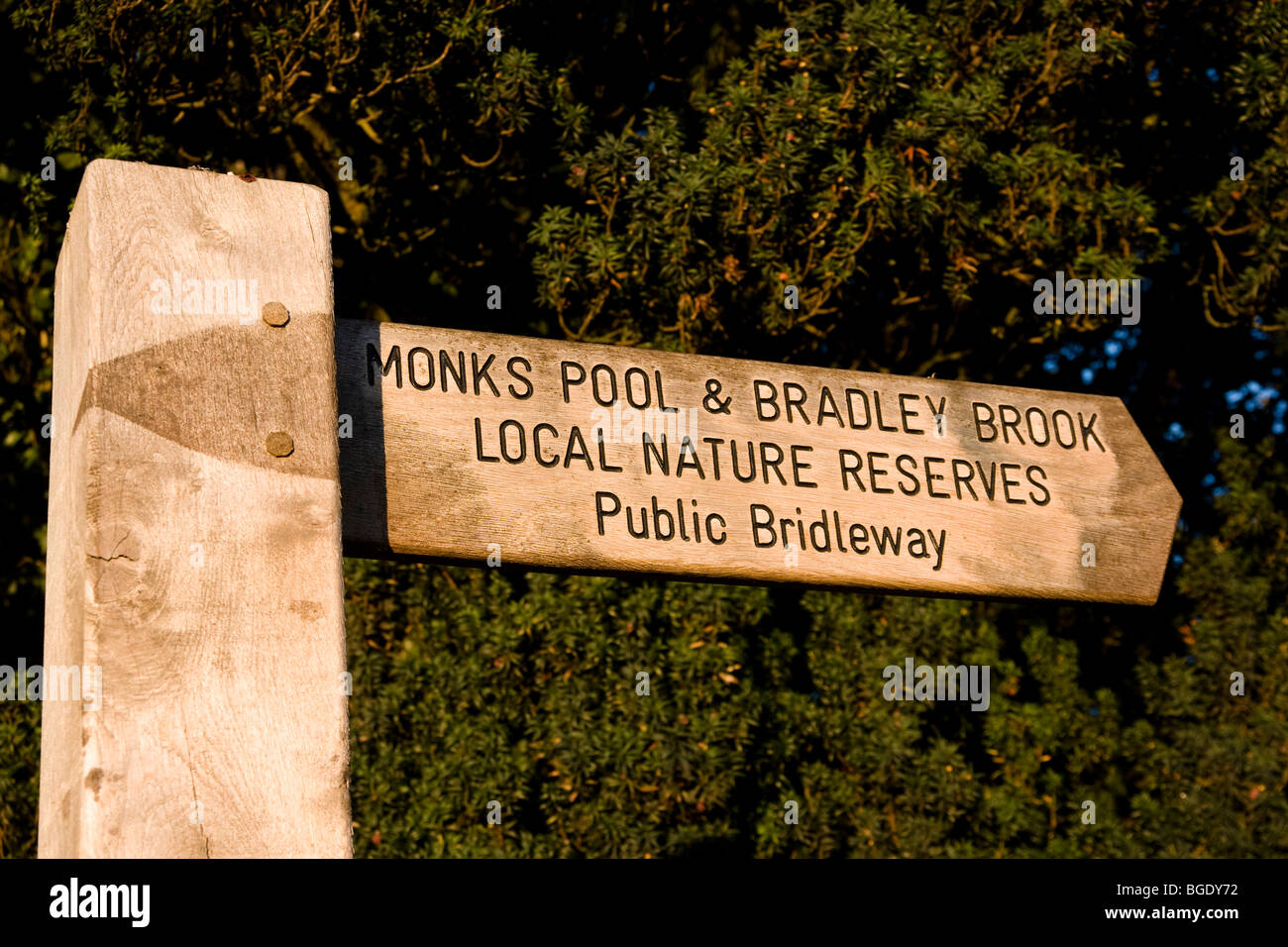 Winterbourne Stock Photos & Winterbourne Stock Images - Alamy