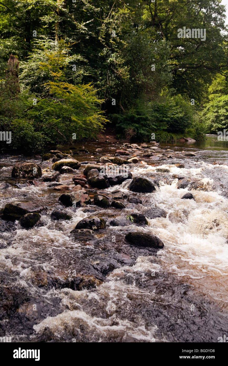 The River Dart in Dartmoor in Devon, England Stock Photo - Alamy