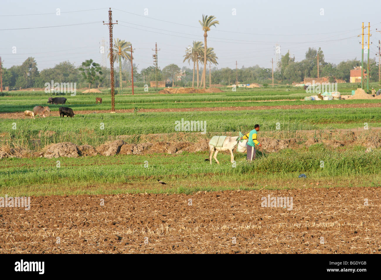 Egyptain High Resolution Stock Photography and Images - Alamy