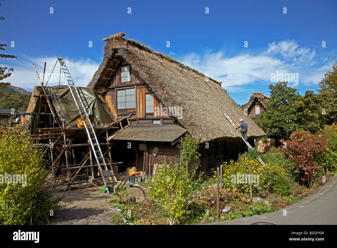 Re-thatching traditional thatched farmhouse at Shirakawa Go village ...