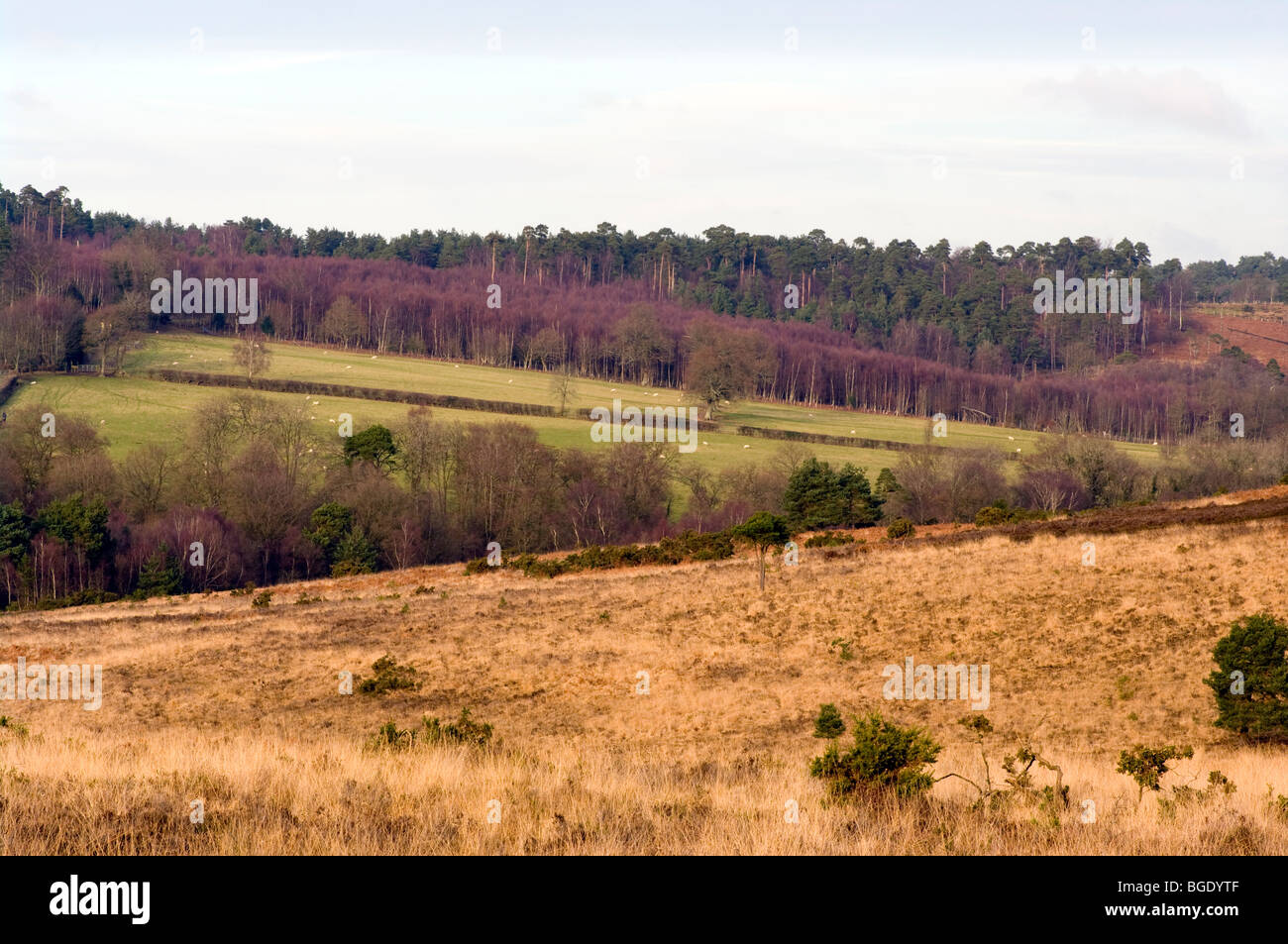 Ashdown forest view hi-res stock photography and images - Alamy