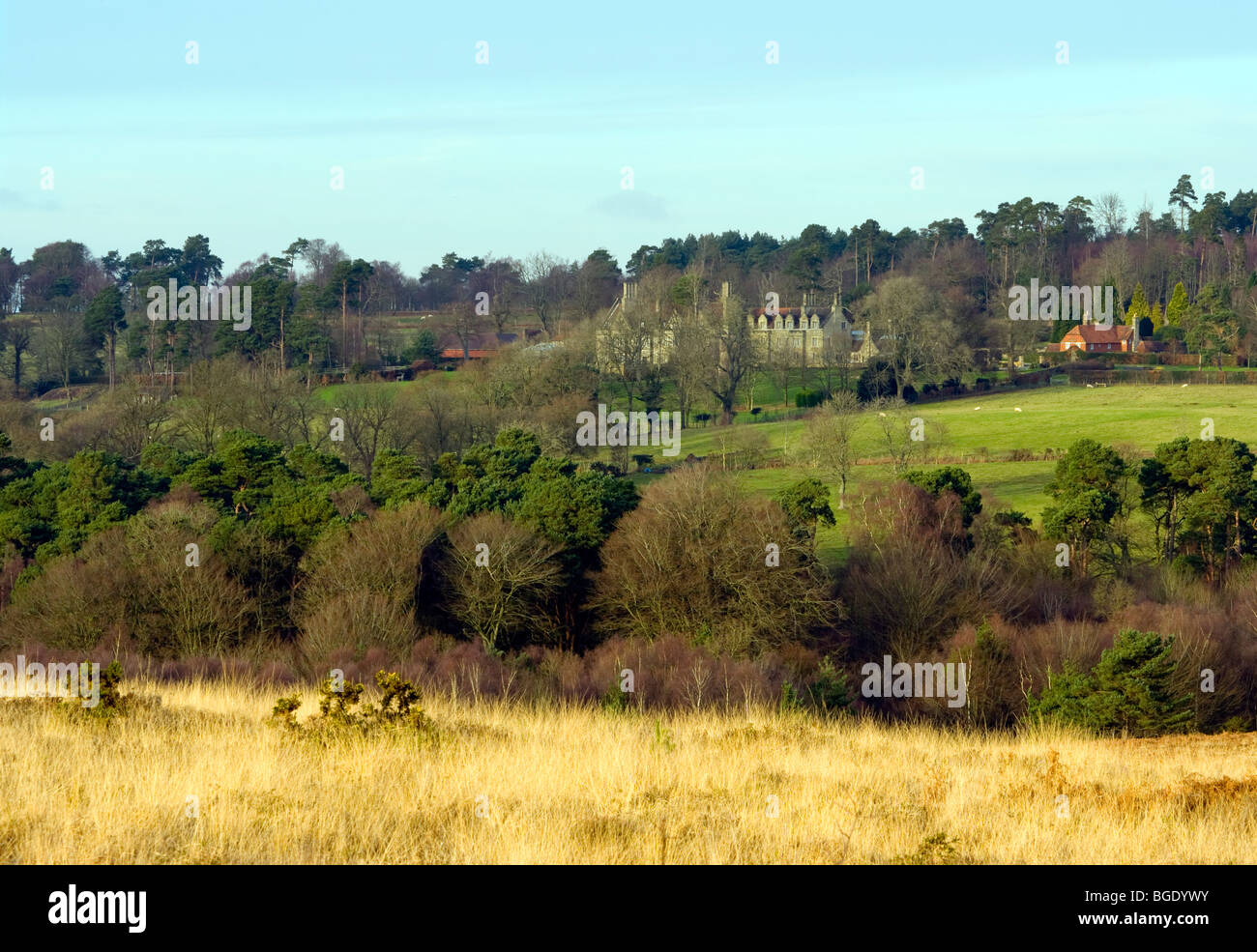 View towards ashdown forest hi-res stock photography and images - Alamy