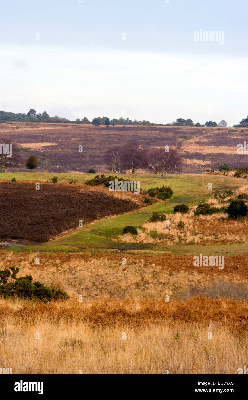 Ashdown forest view hi-res stock photography and images - Alamy