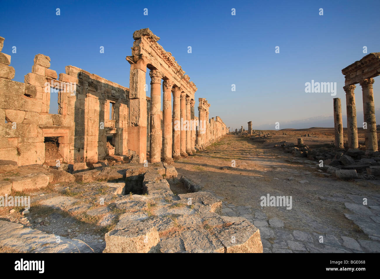 Syria, Apamea (Afamia) Archaeological Site (founded 3rd Century BC ...