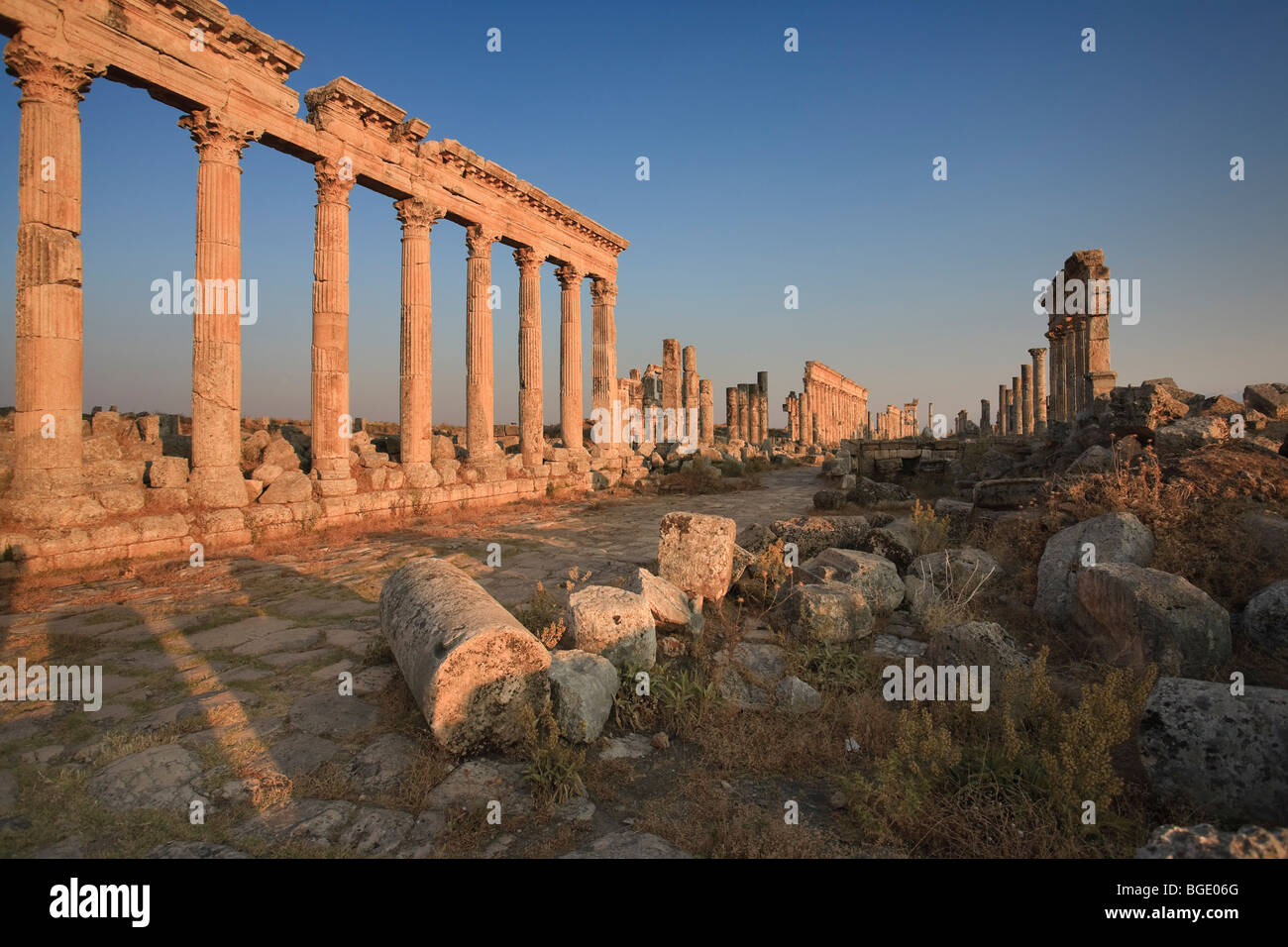 Syria, Apamea (Afamia) Archaeological Site (founded 3rd Century BC ...