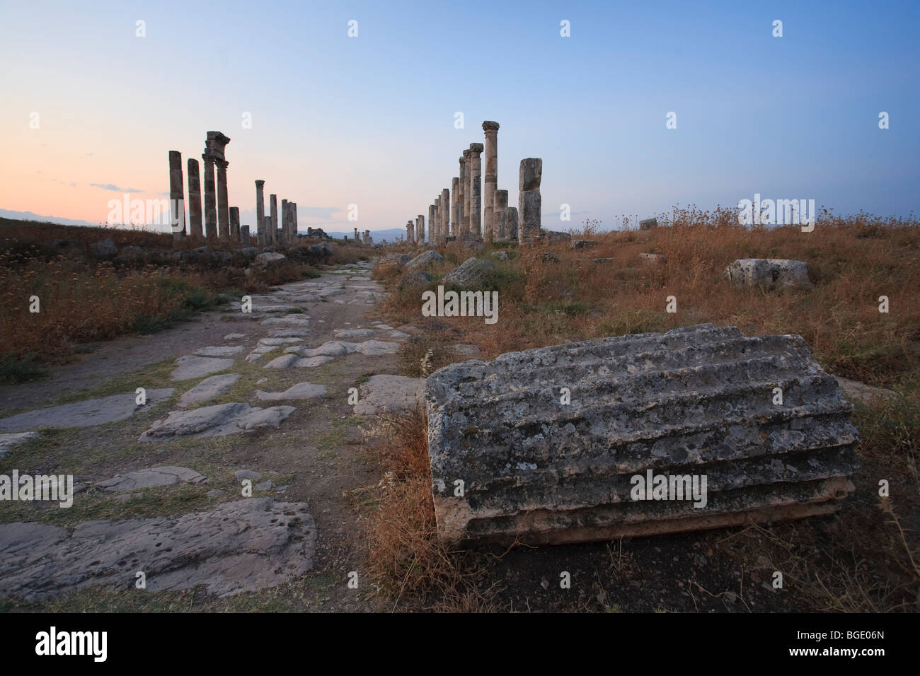 Syria, Apamea (Afamia) Archaeological Site (founded 3rd Century BC ...
